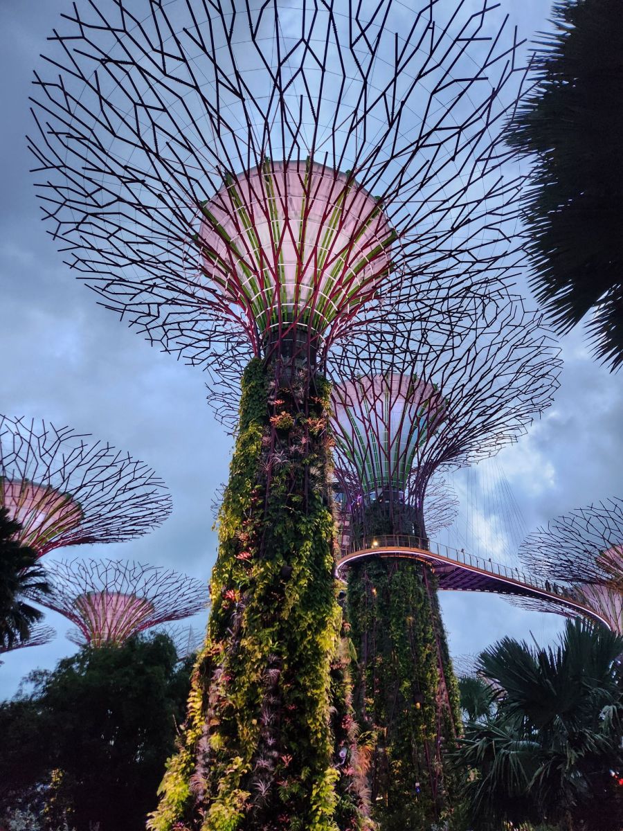 Singapore – Not Sew Fancy Travels